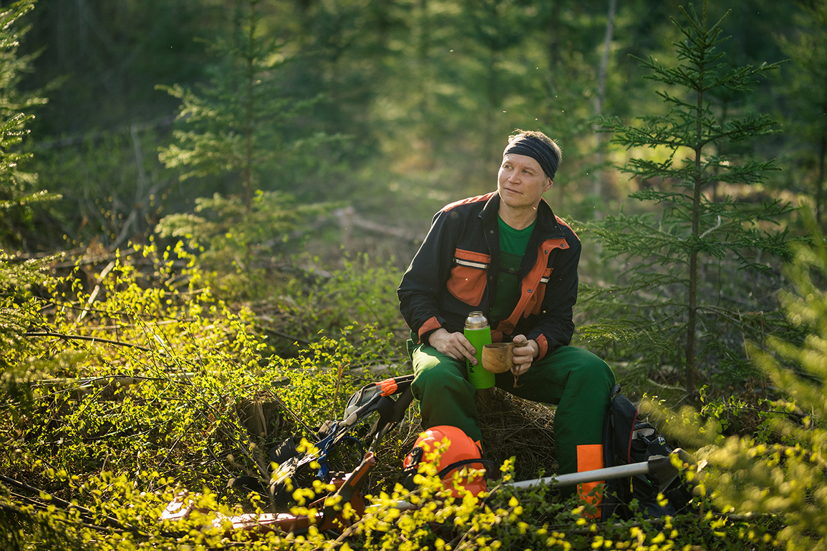 Metsien Suomi lisäsi myönteisyyttä metsien käyttöä kohtaan - Metsien Suomi